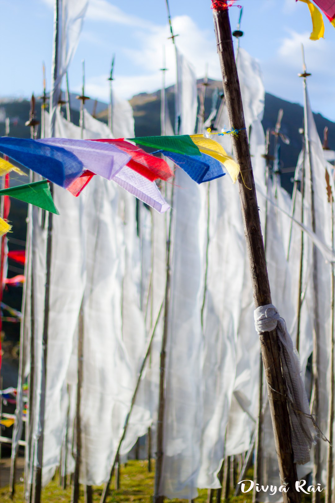 Paro: Bhutan's Docile Progeny - A Borrowed Backpack